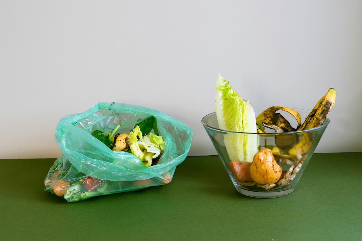 Waste Management in Restaurants: What It Is and Best Practices